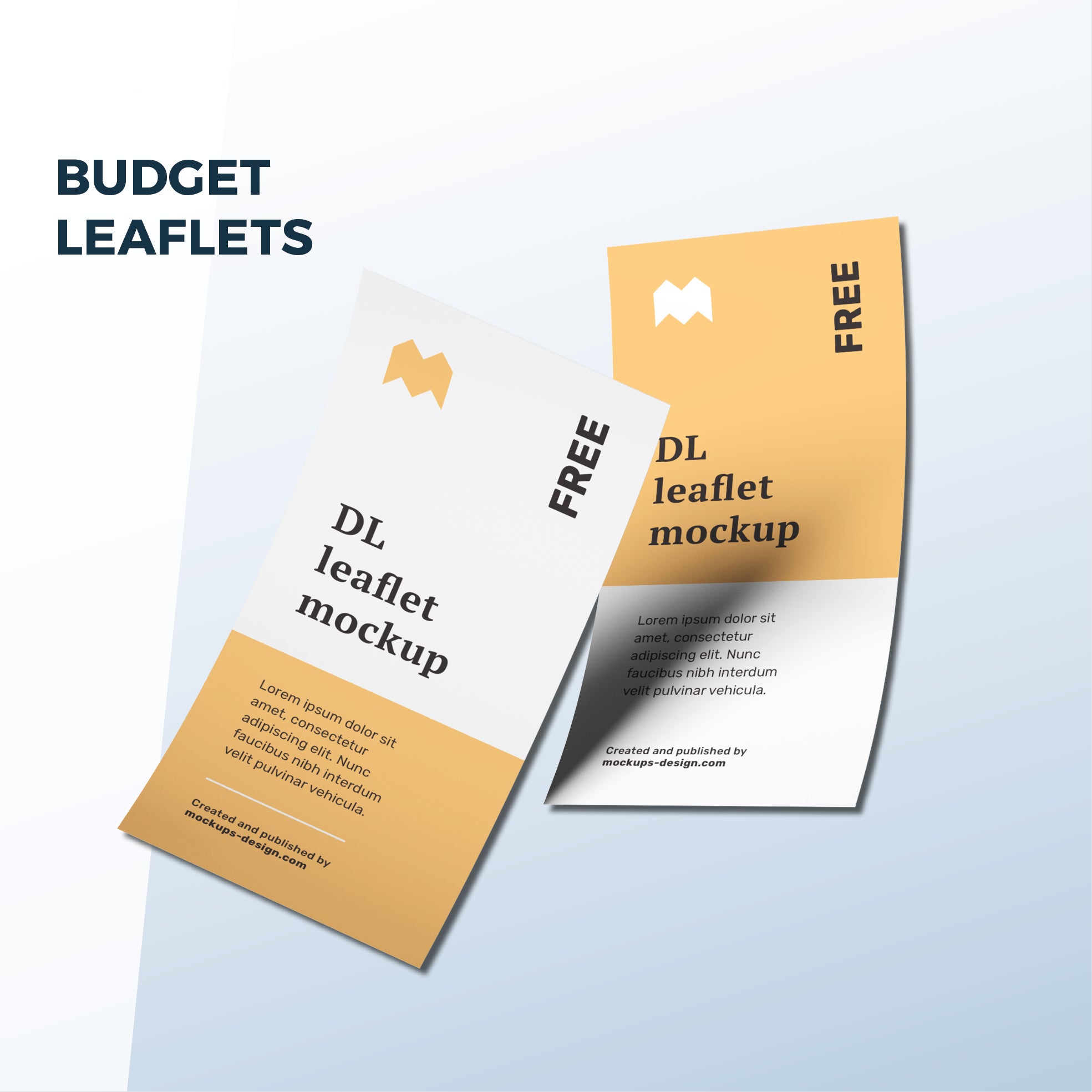 Budget Flyers - Affordable Printing Solutions for Your Marketing Needs
